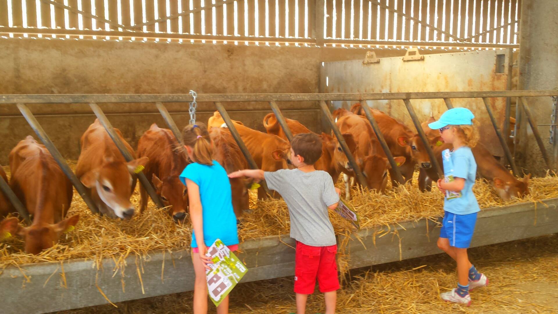 La Ferme Farm Fun Day – brightly.je